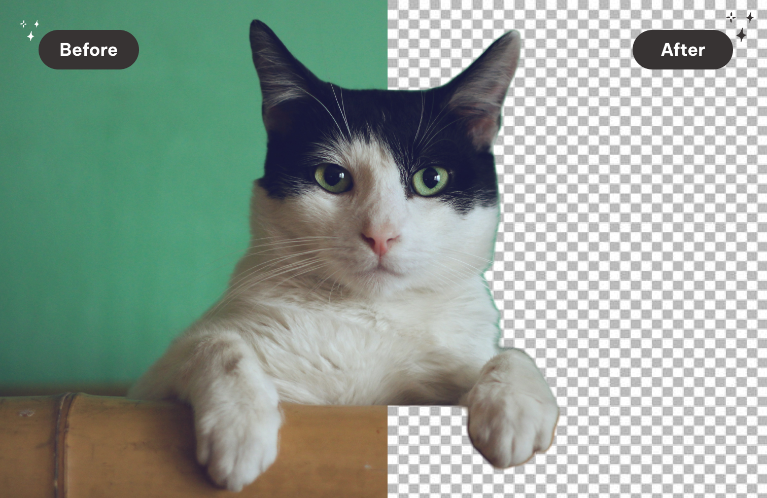 How to Remove Background Easily with Background Eraser?