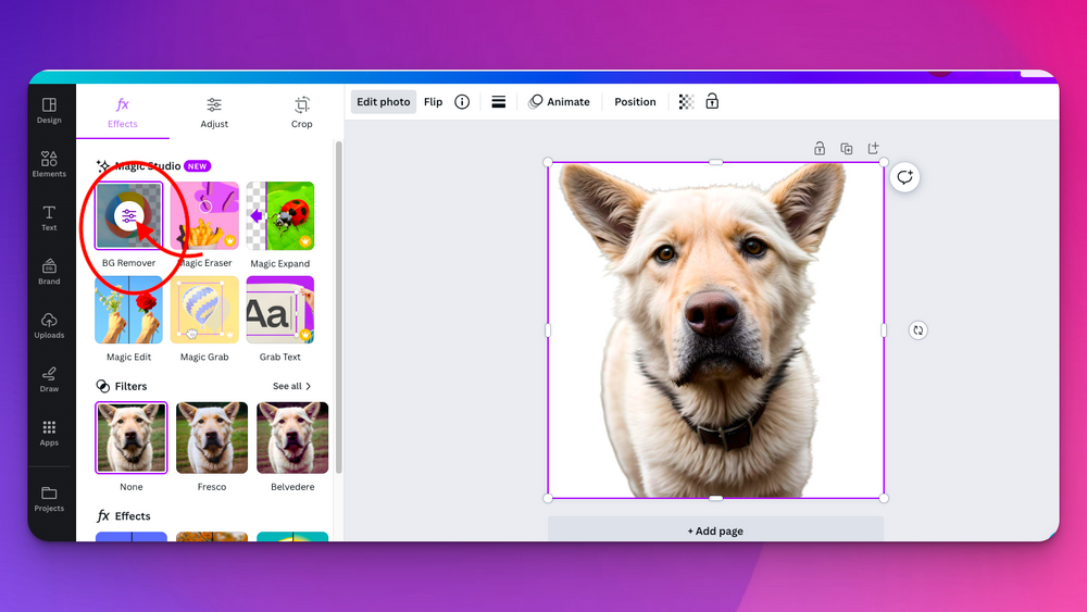 How To Remove Background in Canva?