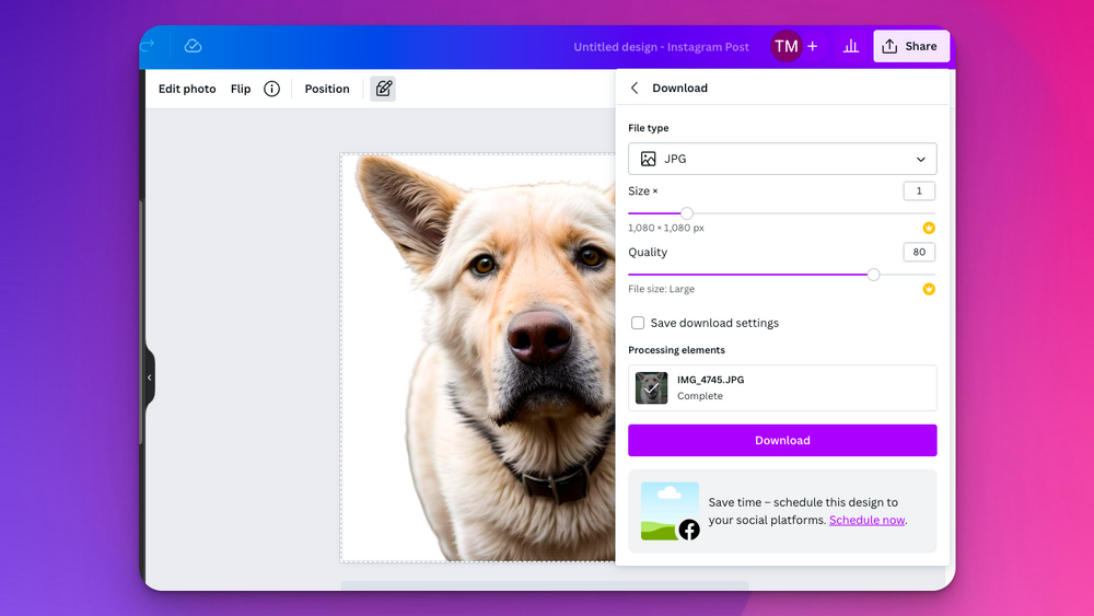 How To Remove Background in Canva?